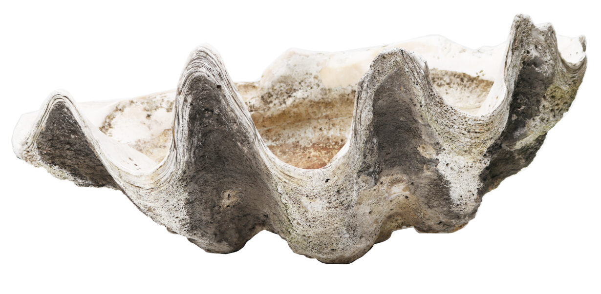 Victorian Antiques | Everything is Unique | UK Heritage