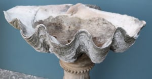 Pair of Victorian Clam Shell Planters or Fountains - UK Heritage