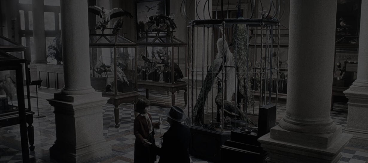 Victorian Stained Mahogany Reclaimed Fire Surround | UK Architectural ...