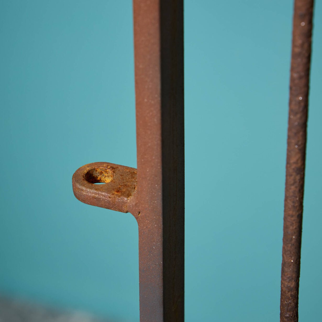 English 19th Century Wrought Iron Hoop Top Pedestrian Gate | UK ...